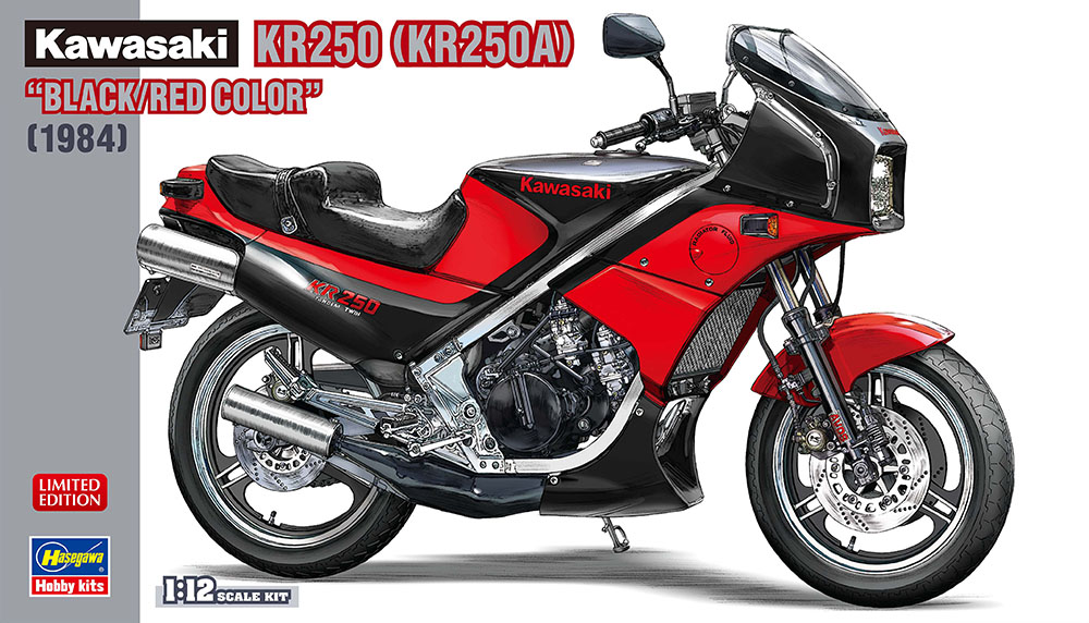 1:12 Hasegawa 21740 Kawasaki KR250 (KR250A) Motor