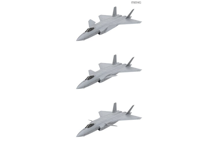 1:48 MENG LS002 Chinese J-20 Stealth Fighter Plane